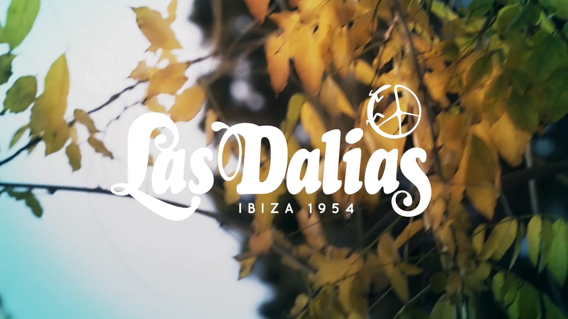 Las Dalias Christmas Market 2017 on Vimeo