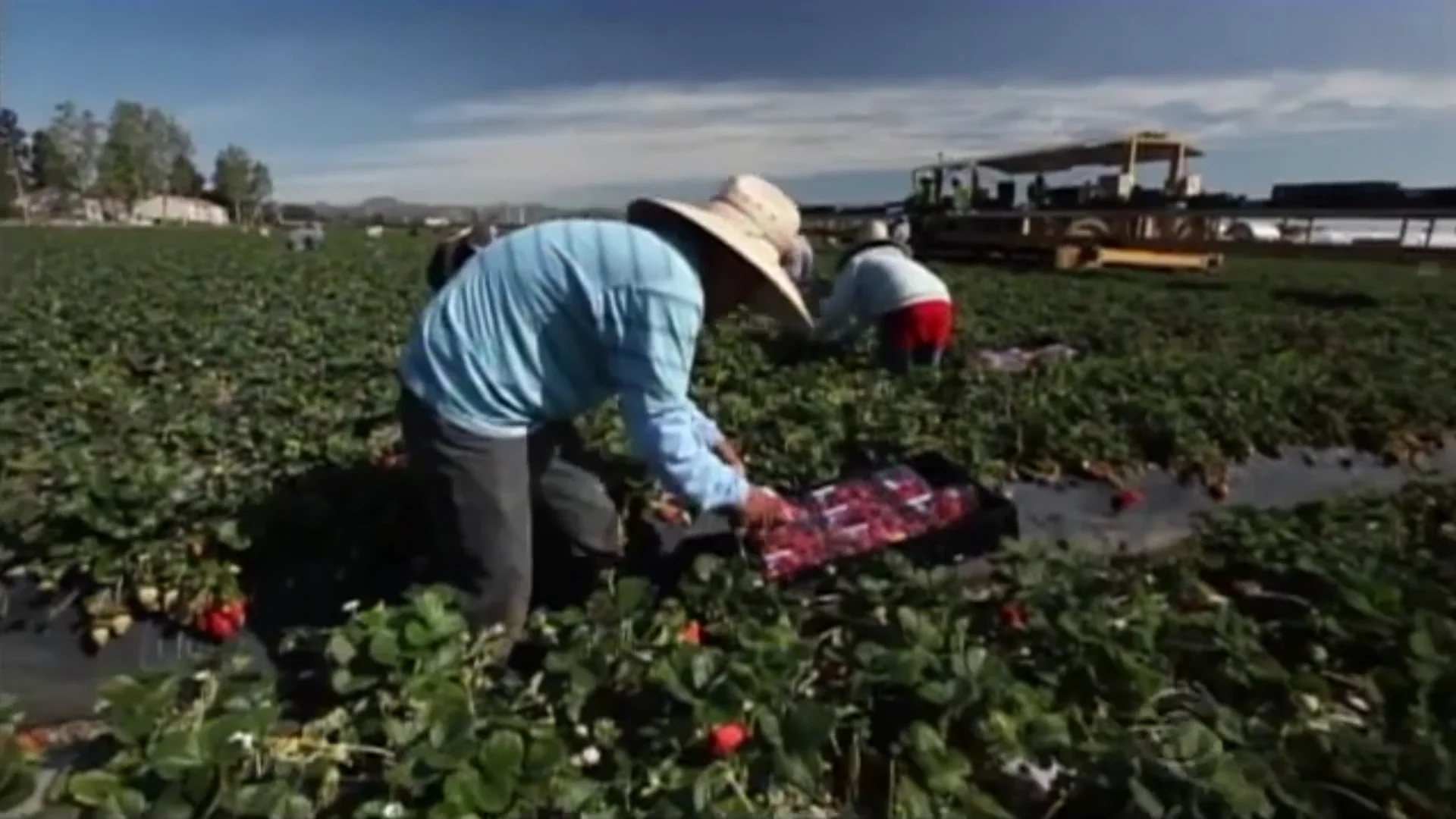 CBS Evening News clip featuring Andy Unanue on Vimeo
