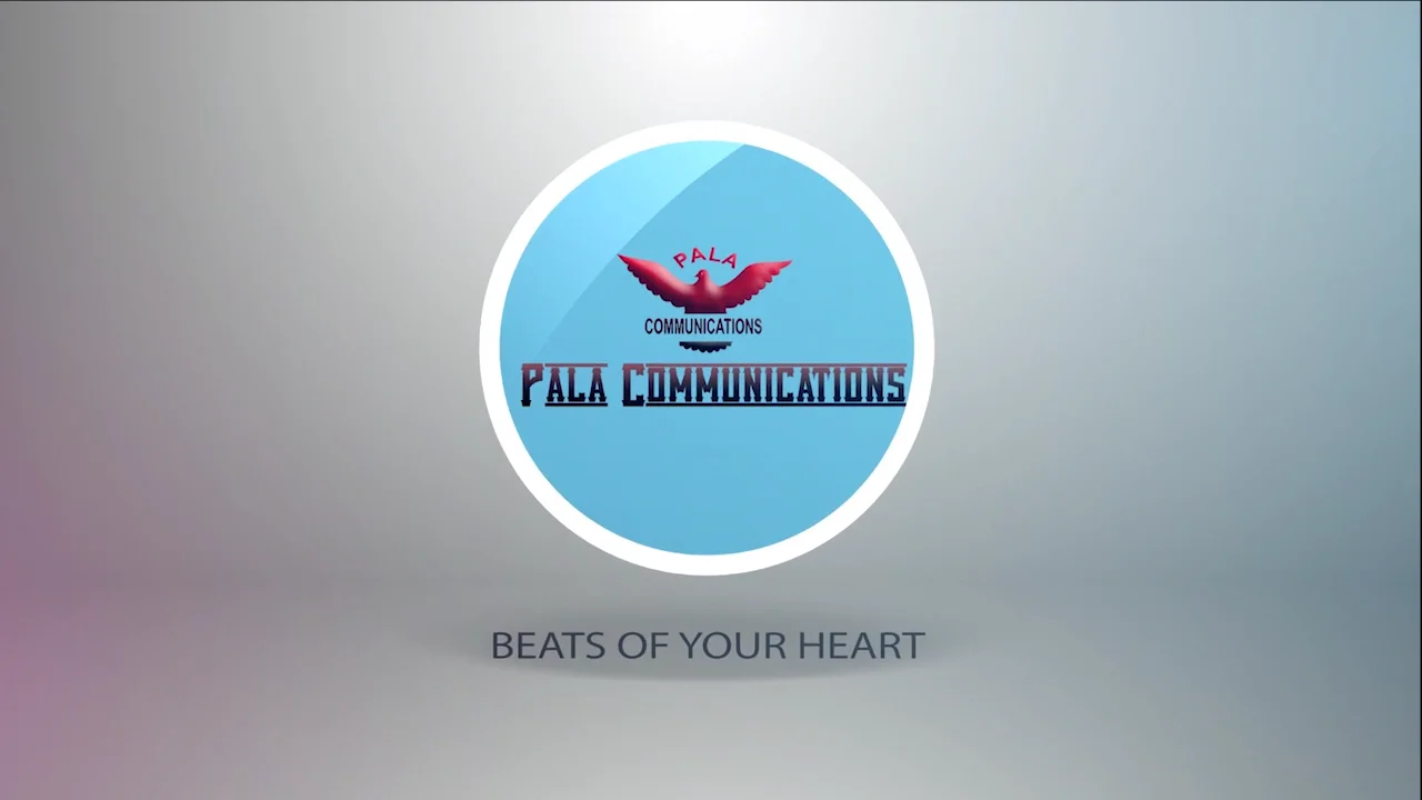 Pala Communication Corporate video on Vimeo