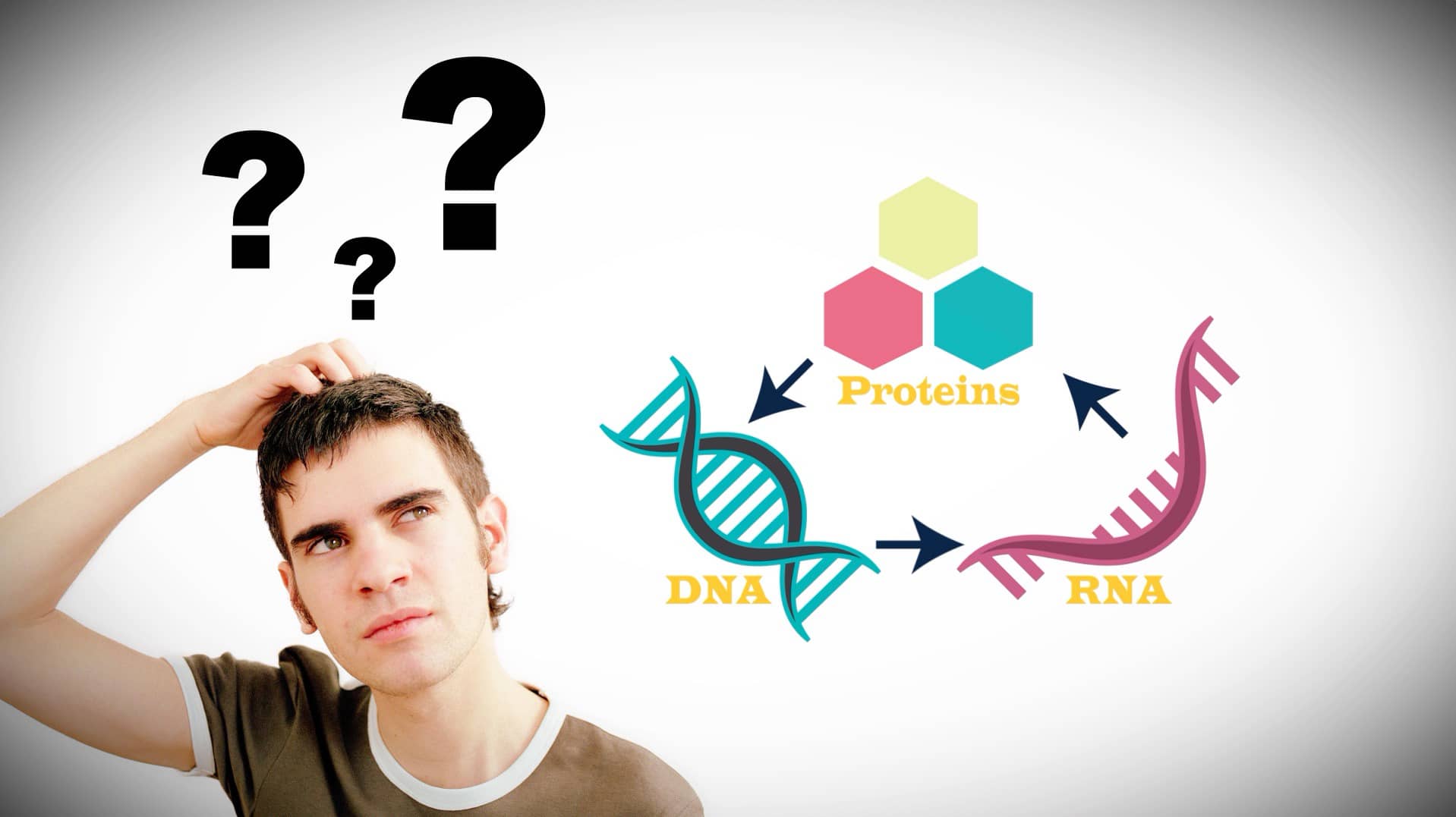 That's a Fact - Cell Origins on Vimeo