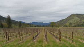 Van Duzer Corridor AVA Approval Shows Location Matters in Oregon