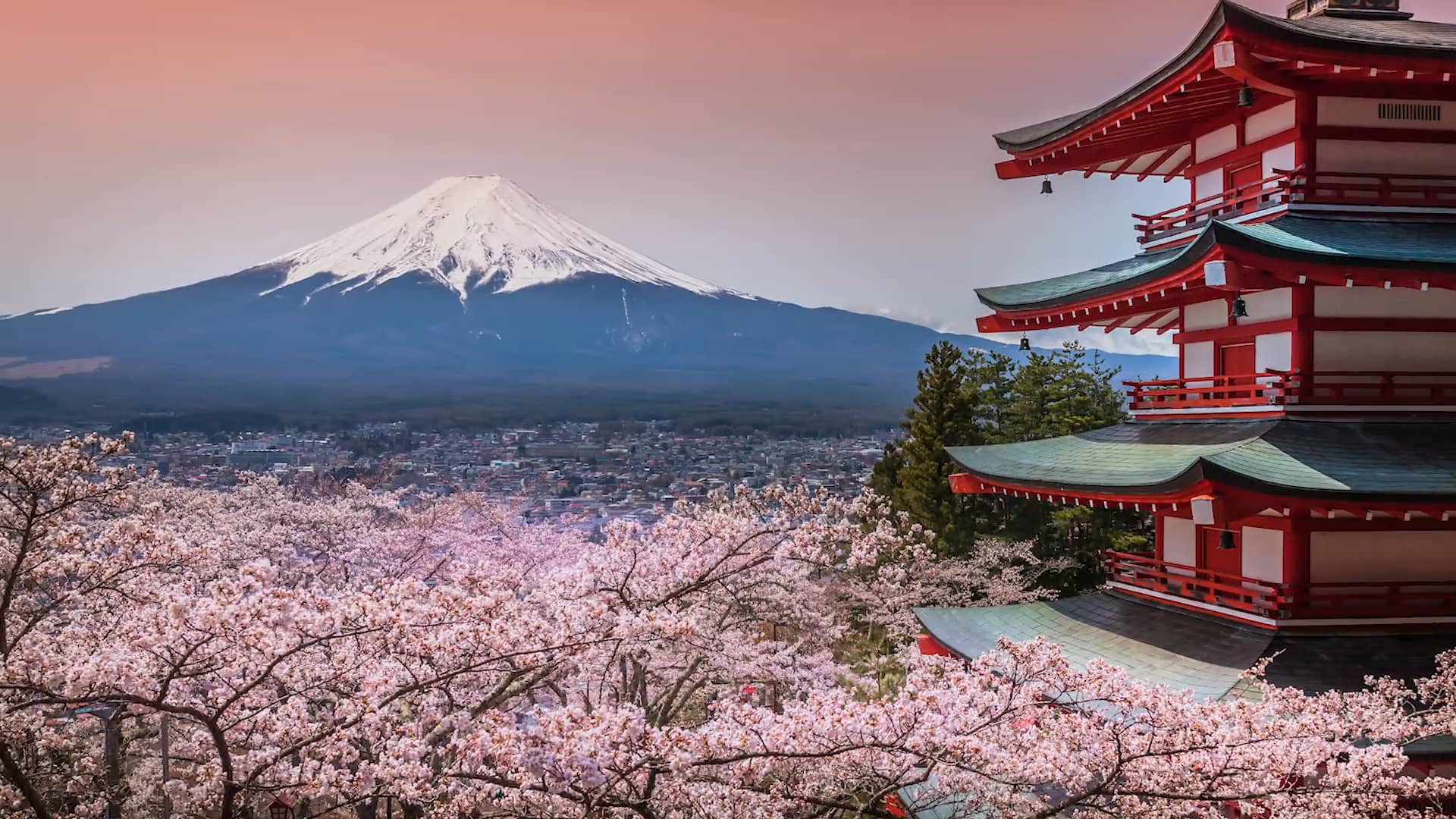 Our guide to Japan on Vimeo