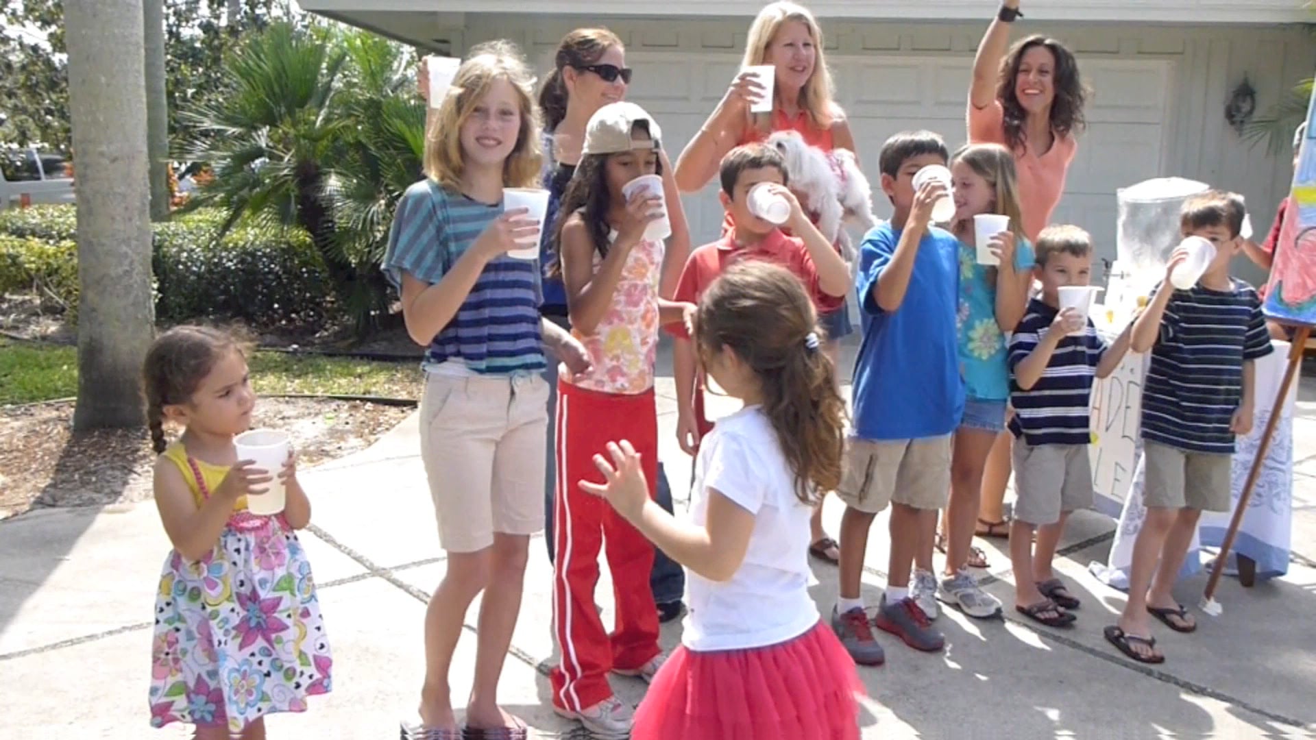 Lemonade Counting by 25s
