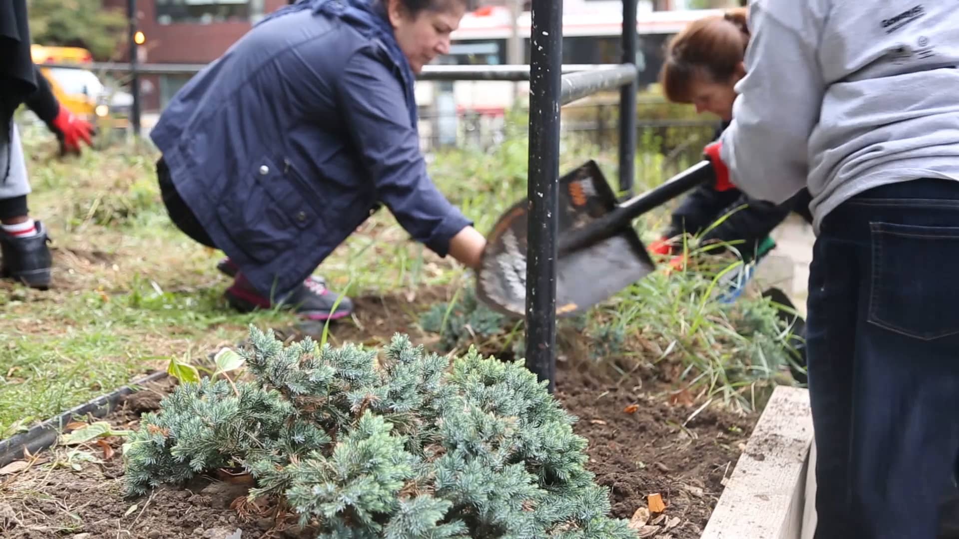 TMZ Showcase_JAN_002 on Vimeo