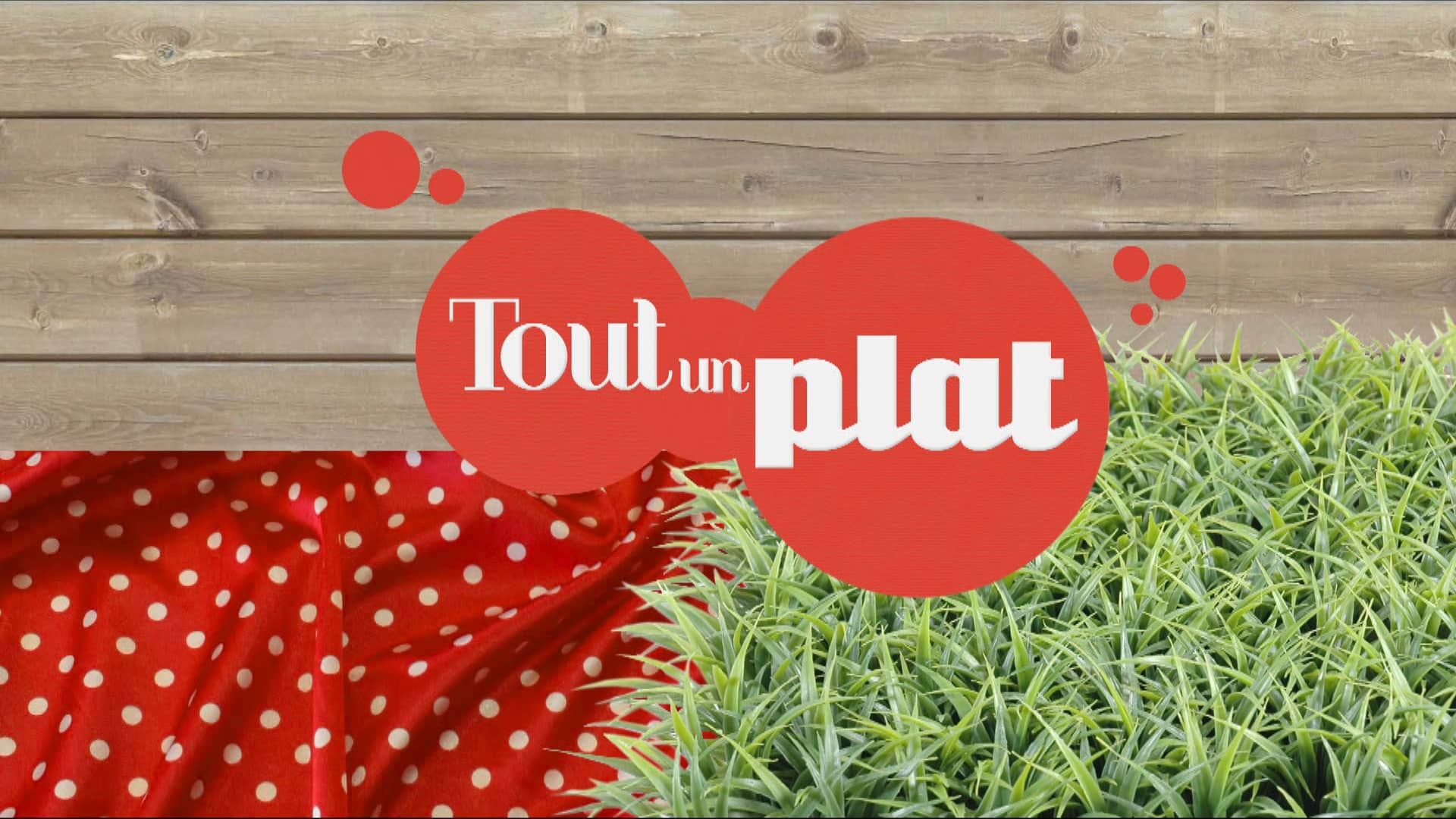 Générique de "Tout un plat" - Émission diffusée sur télénantes on Vimeo