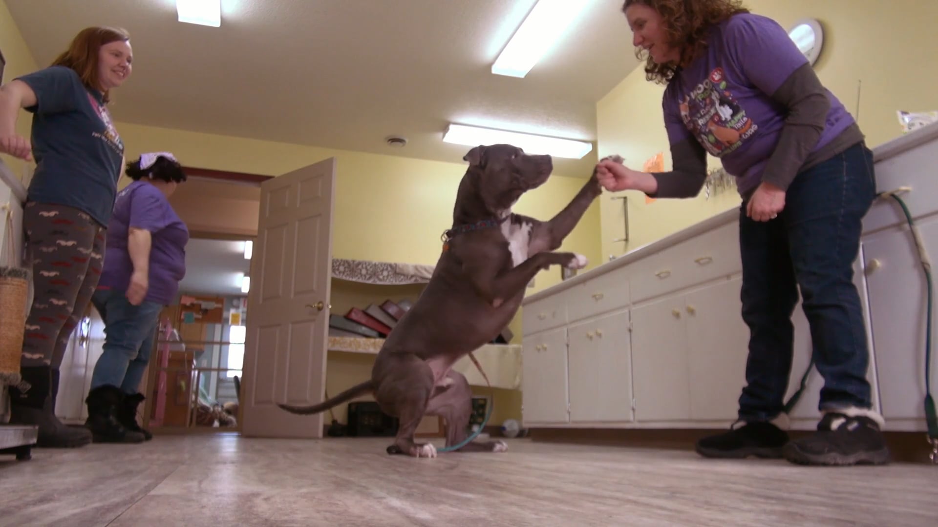 Pope Memorial Animal Shelter on Vimeo