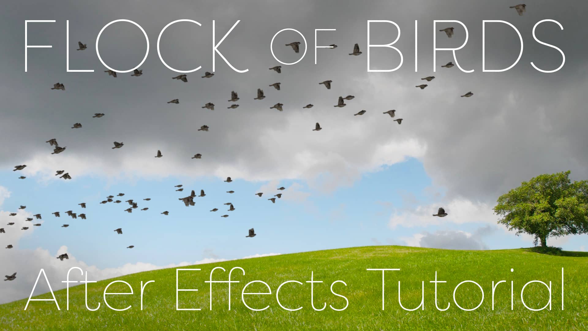 Flock of Birds - After Effects Tutorial on Vimeo