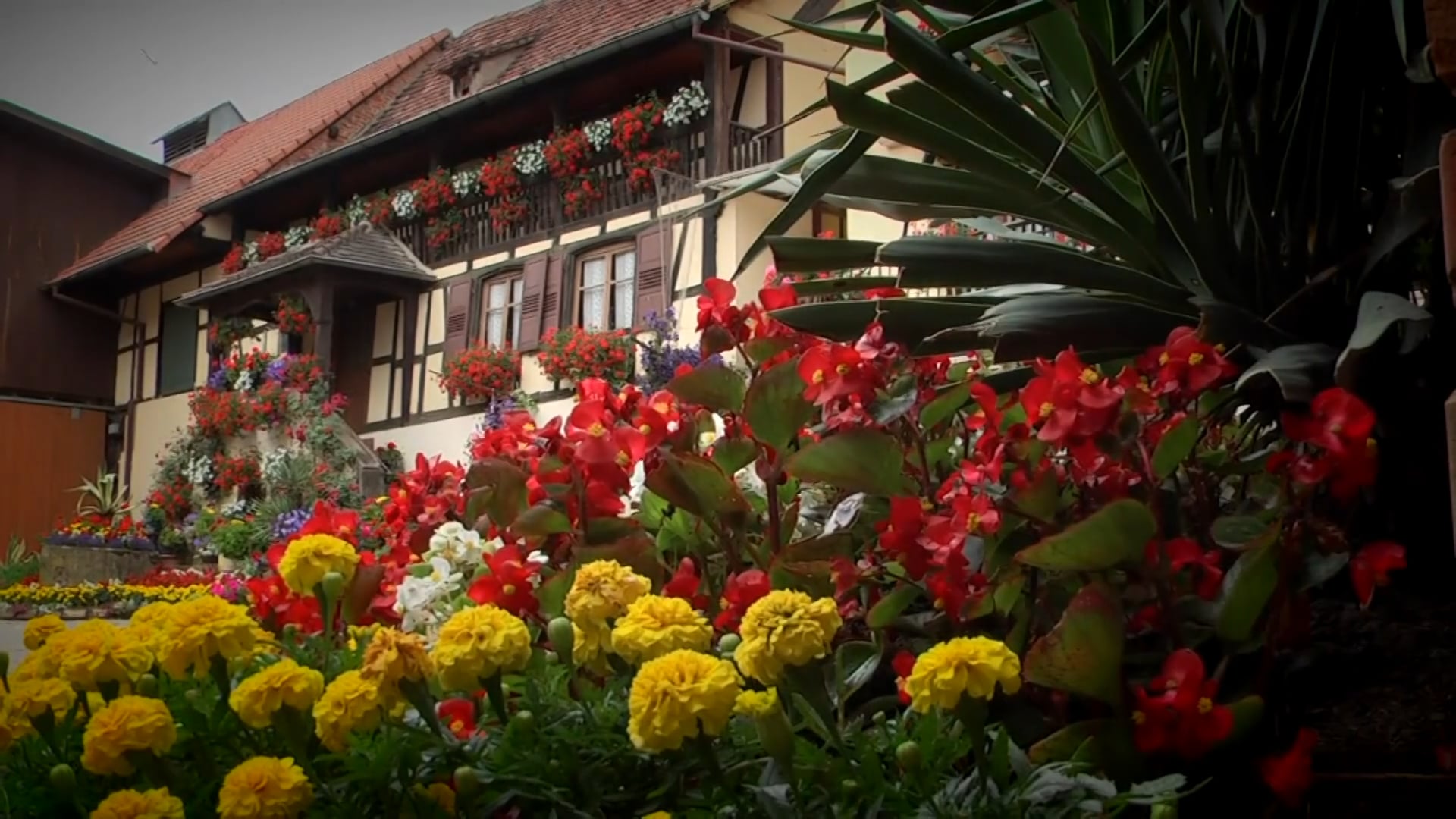 Les Rendez-vous du Patrimoine - Duntzenheim on Vimeo