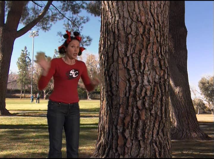 Safe Side Stranger Safety MAIN DVD on Vimeo