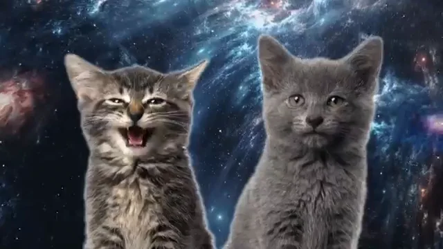 meow® song (official) video 2018 on Vimeo