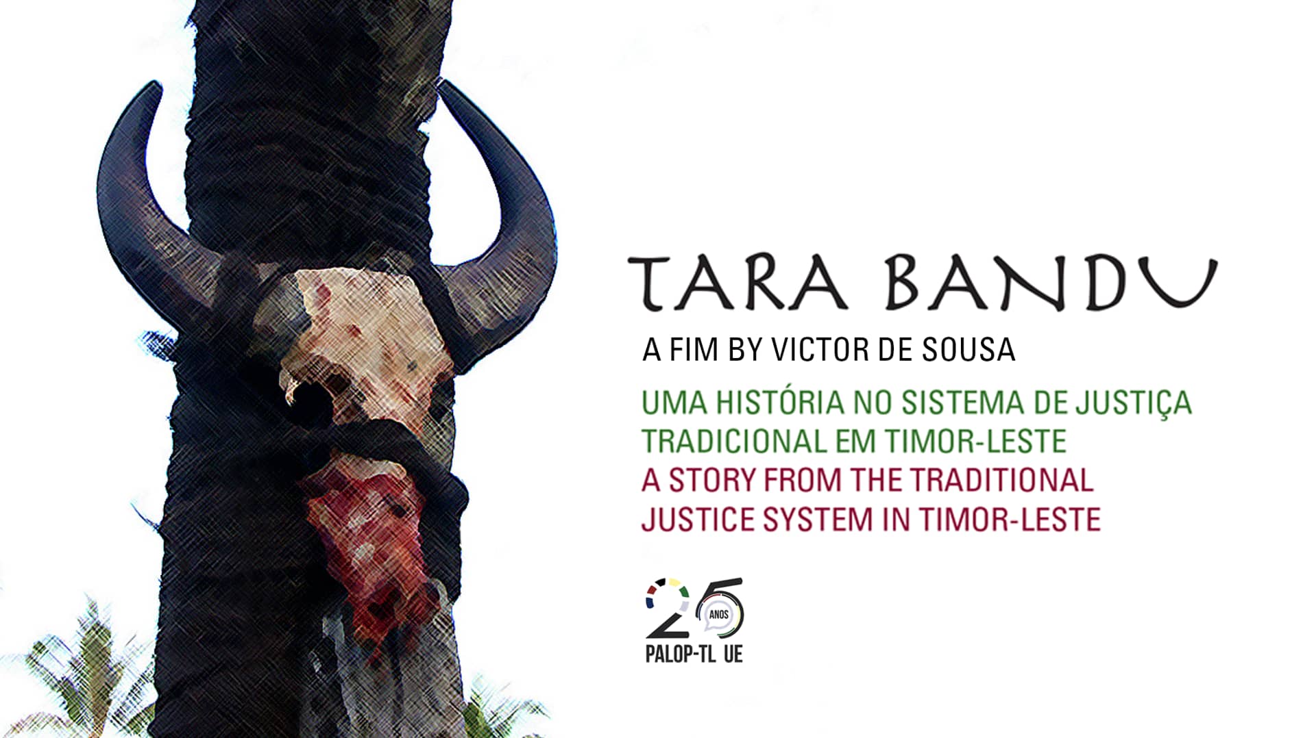 TARA BANDU (customary law of Timor-Leste) on Vimeo