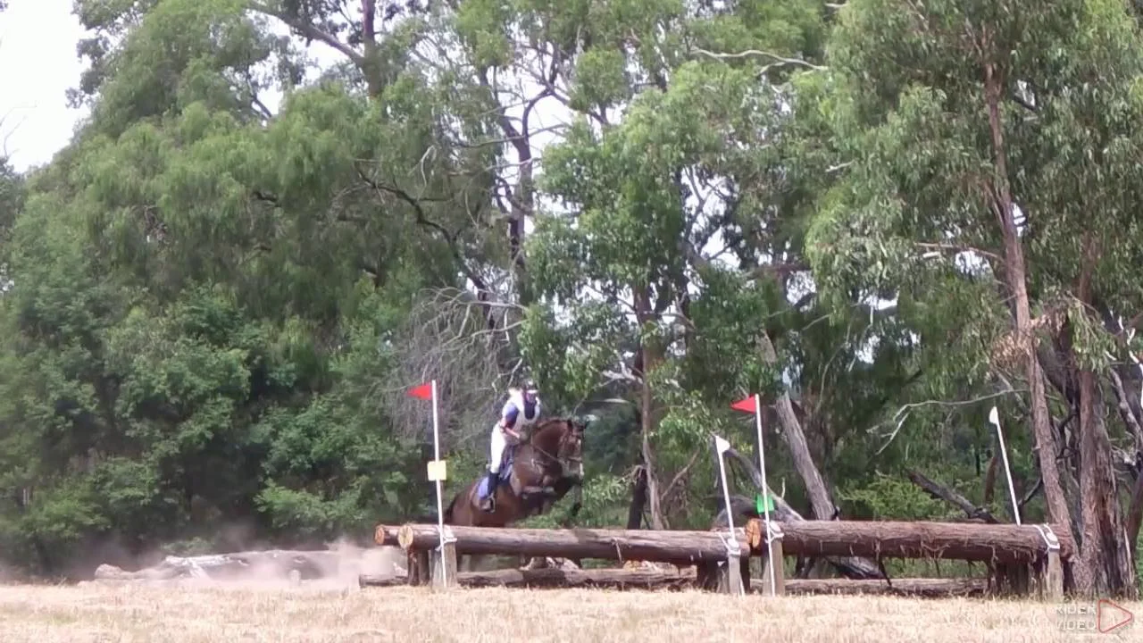Debbie SIMETH riding BYRONE 158 Grade 3 Cockatoo and District Pony Club ...