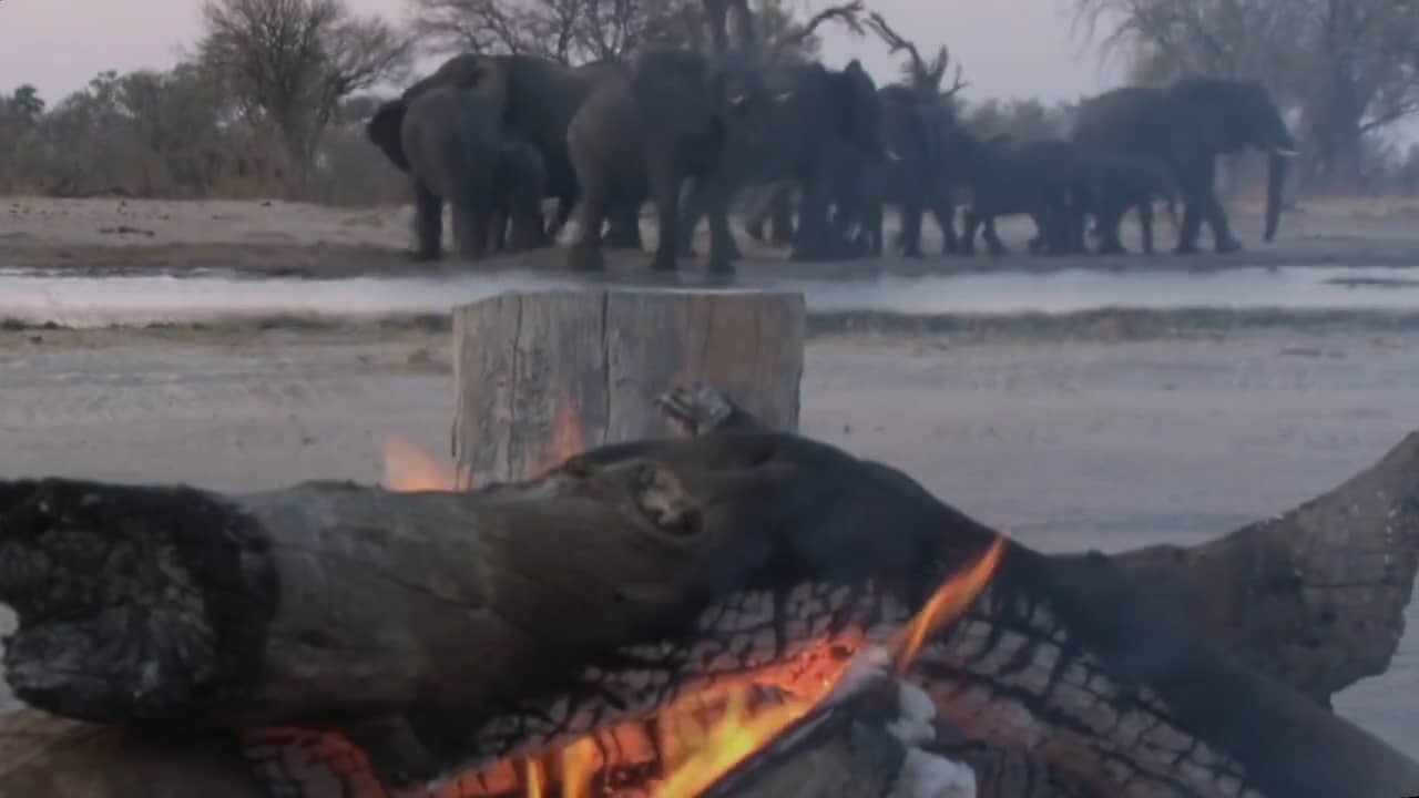 CAMPFIRE: Zimbabwe. on Vimeo