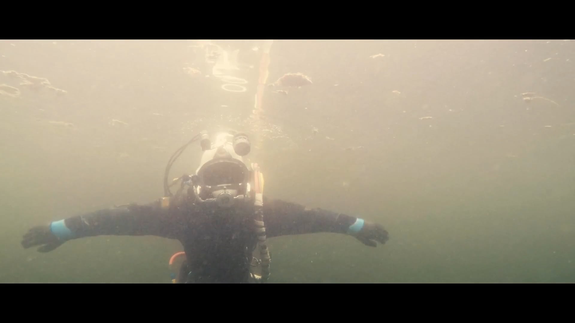 DIVE Trailer #1 on Vimeo