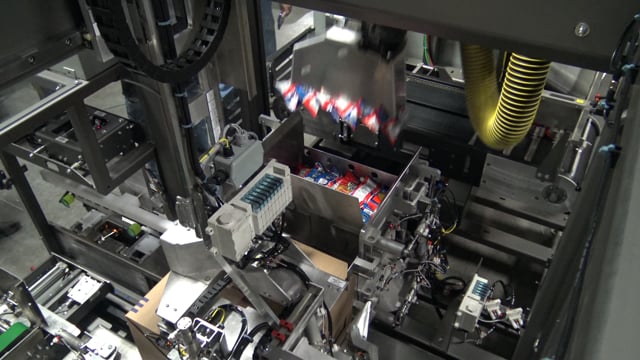 Gantry 200i Side Load Case Packer with Integrated Case Erector ...