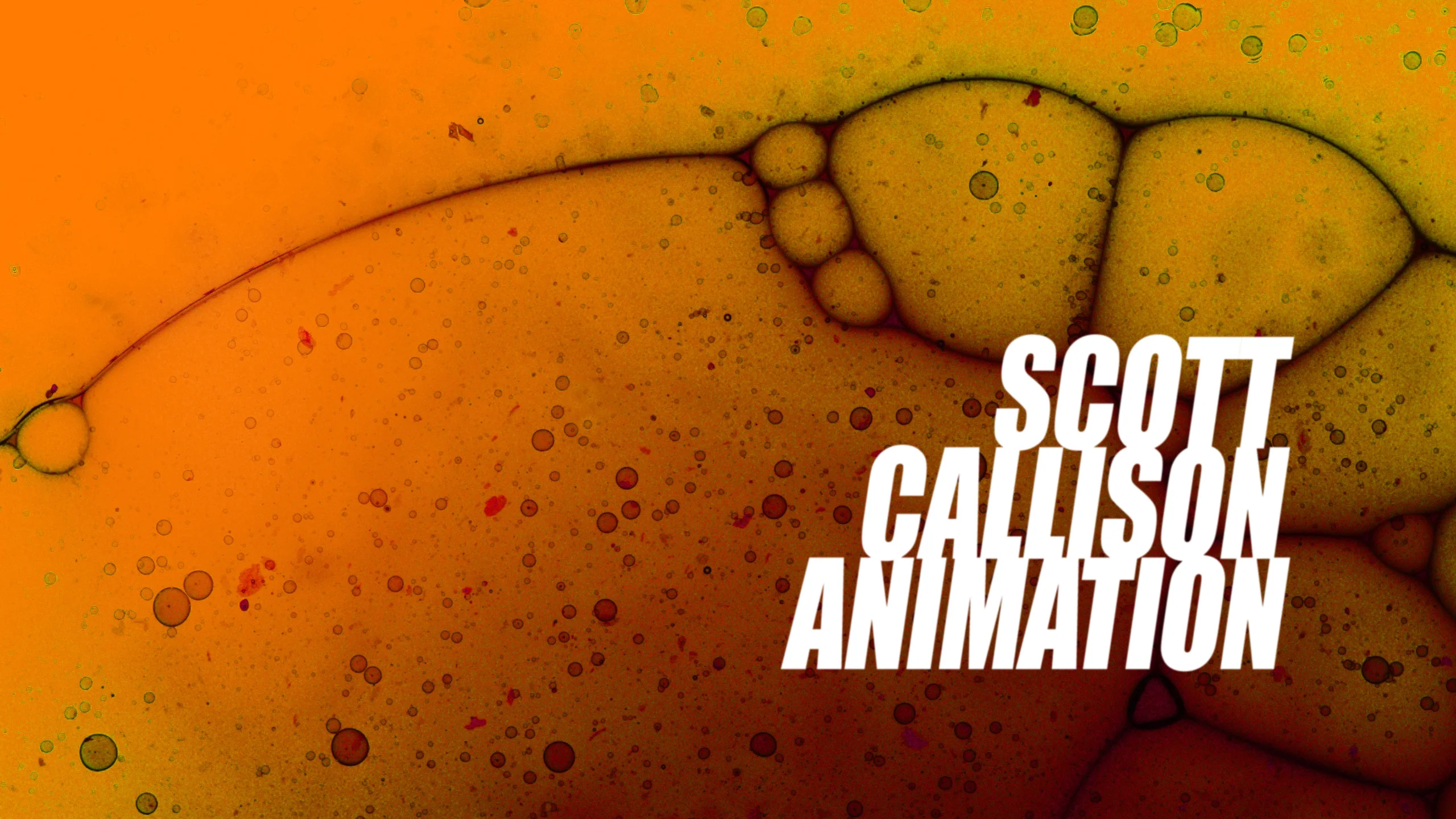 scott callison animation demo on Vimeo
