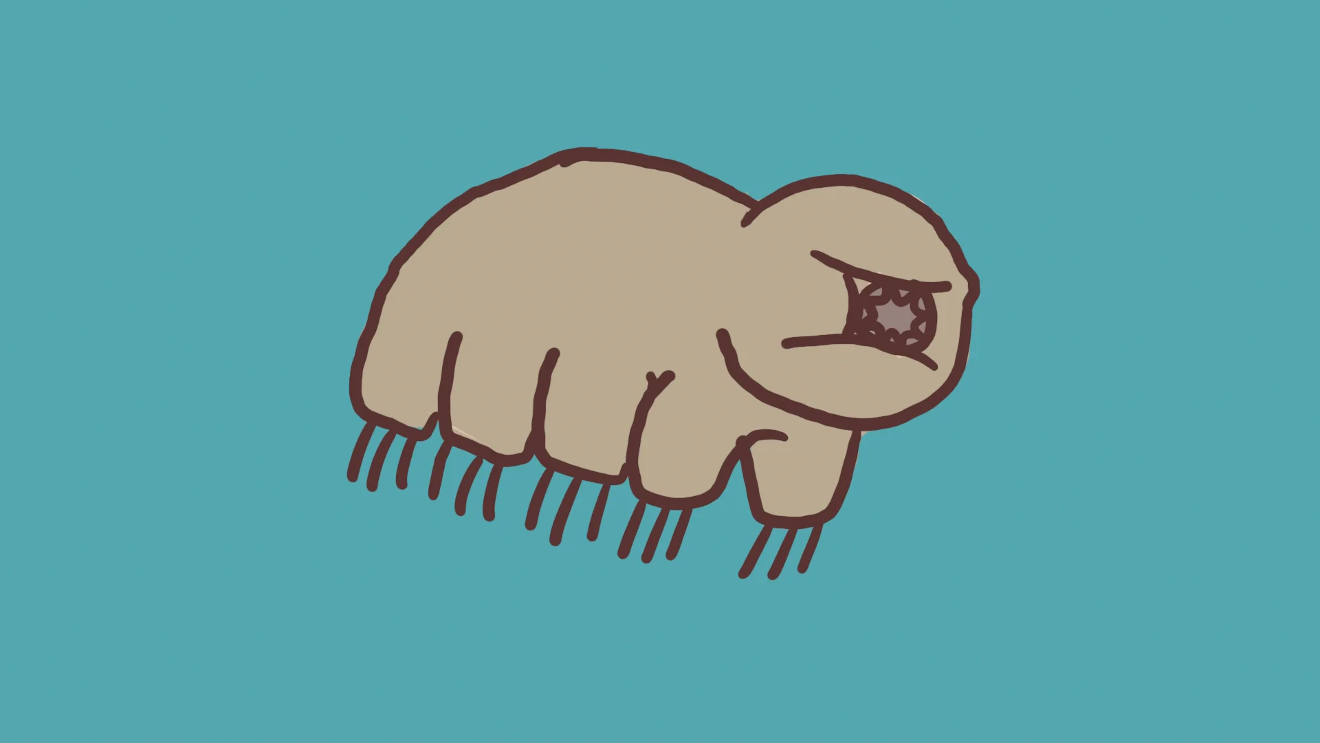 Animation Homework 1 - Tardigrade - Color on Vimeo