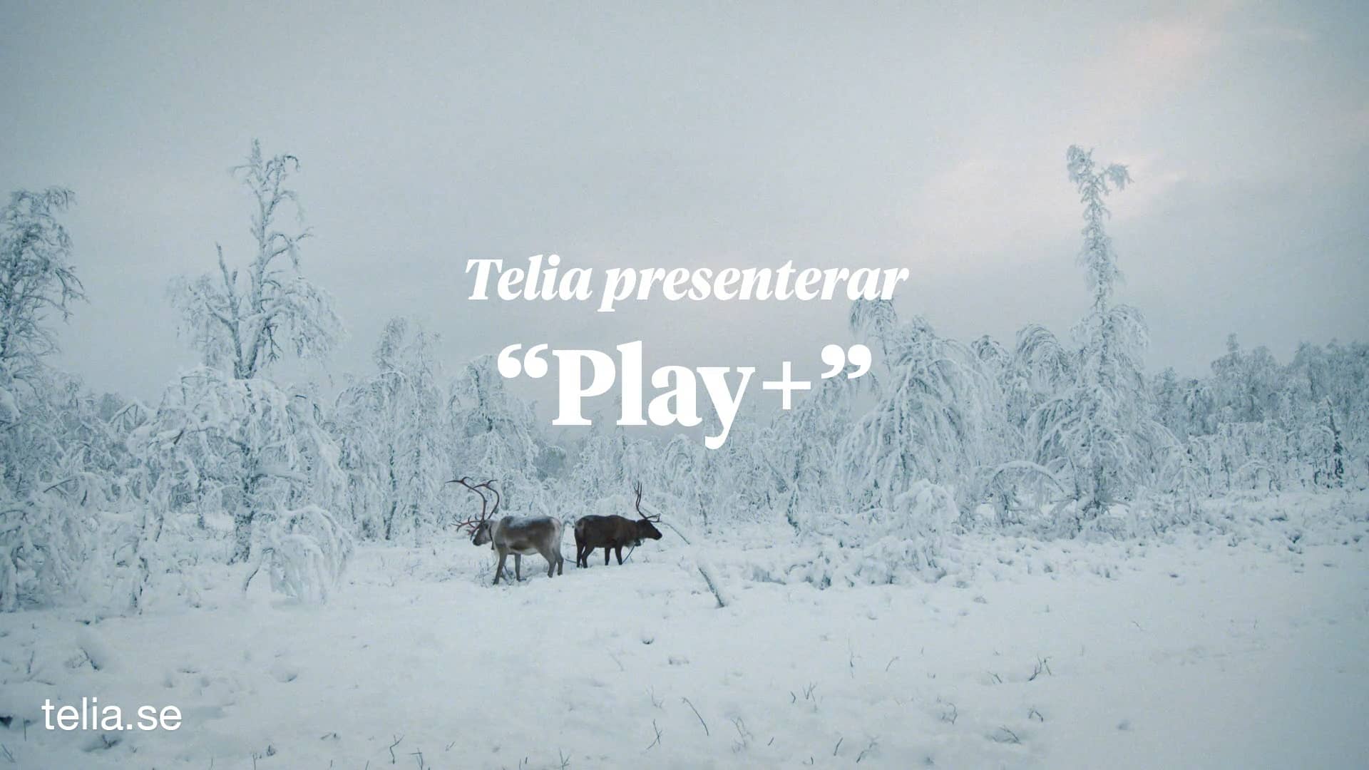 Telia Christmas Commercial play+ on Vimeo