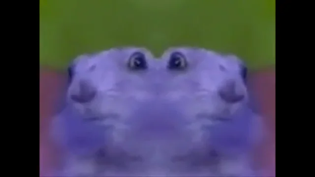 Dramatic Chipmunk Conga Busher on Vimeo