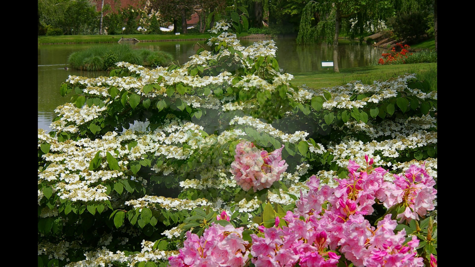 "Mais quelle idée j'ai eue": montage réalisé par Patrick Rottiers on Vimeo