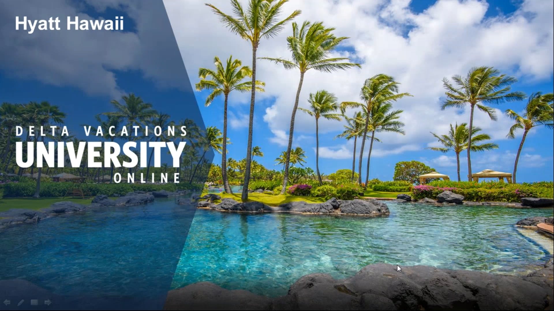 Discover the Aloha life with Hyatt Hawaii & Delta Vacations on Vimeo