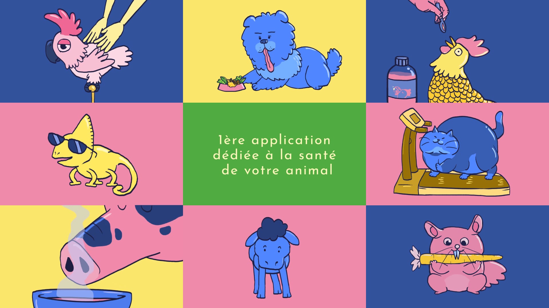 OOPET FIT - Application de santé on Vimeo