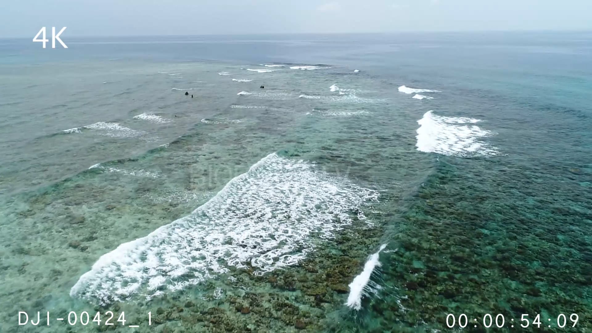 Coral Reefs - Aerial - Reef edge with waves 4K on Vimeo