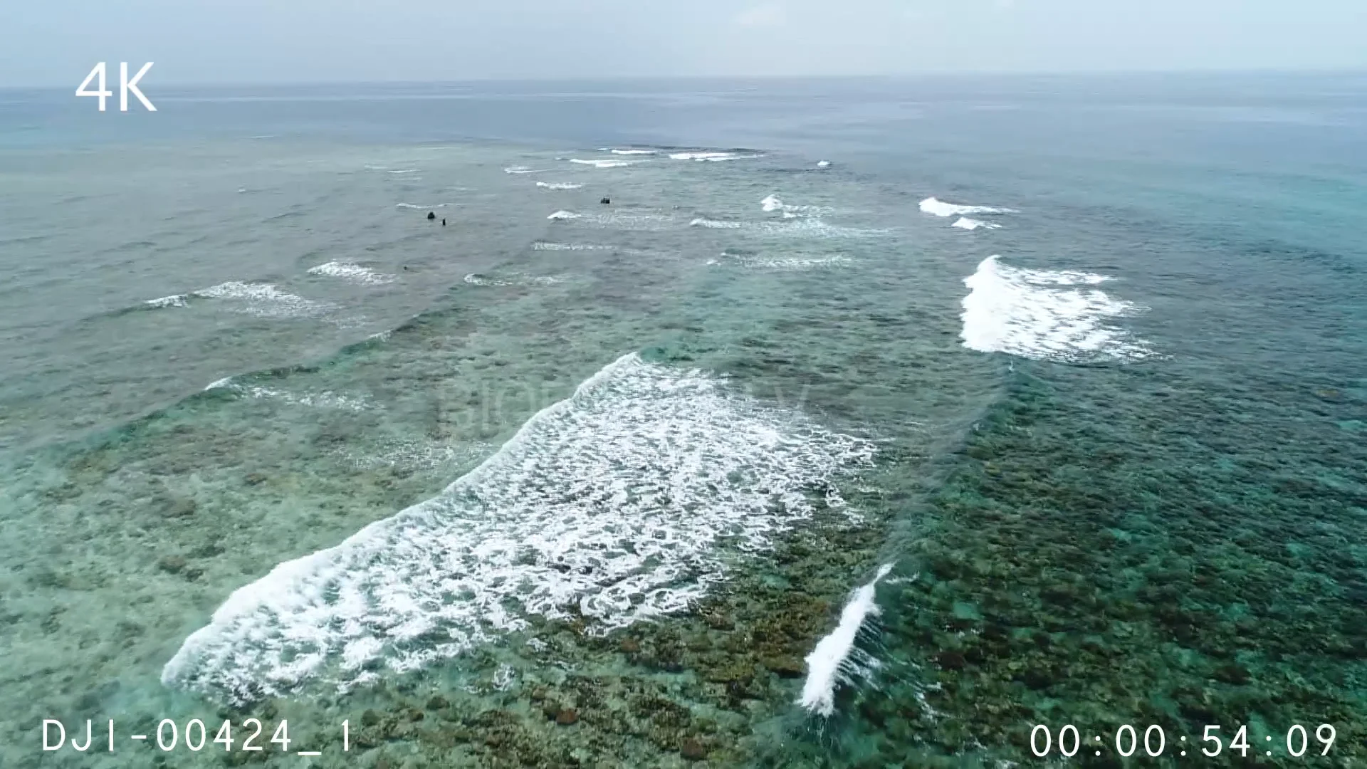 Coral Reefs - Aerial - Reef edge with waves 4K on Vimeo