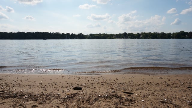 Water Riverbank - Free video on Pixabay