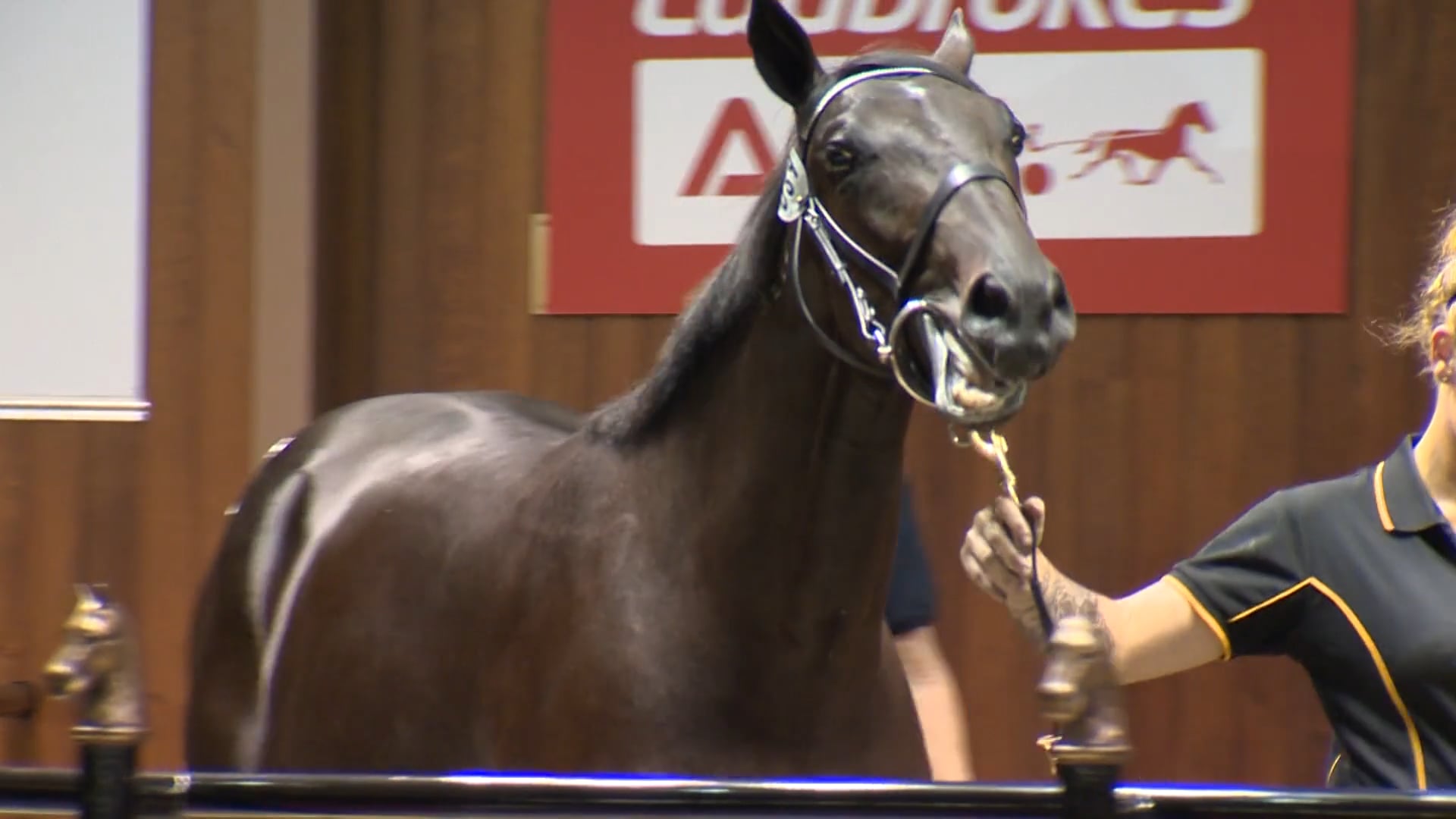 Lot 89 - Albert Walmsley on Vimeo