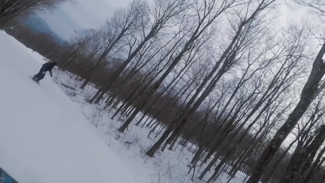 I hit a tree snowboarding on Vimeo