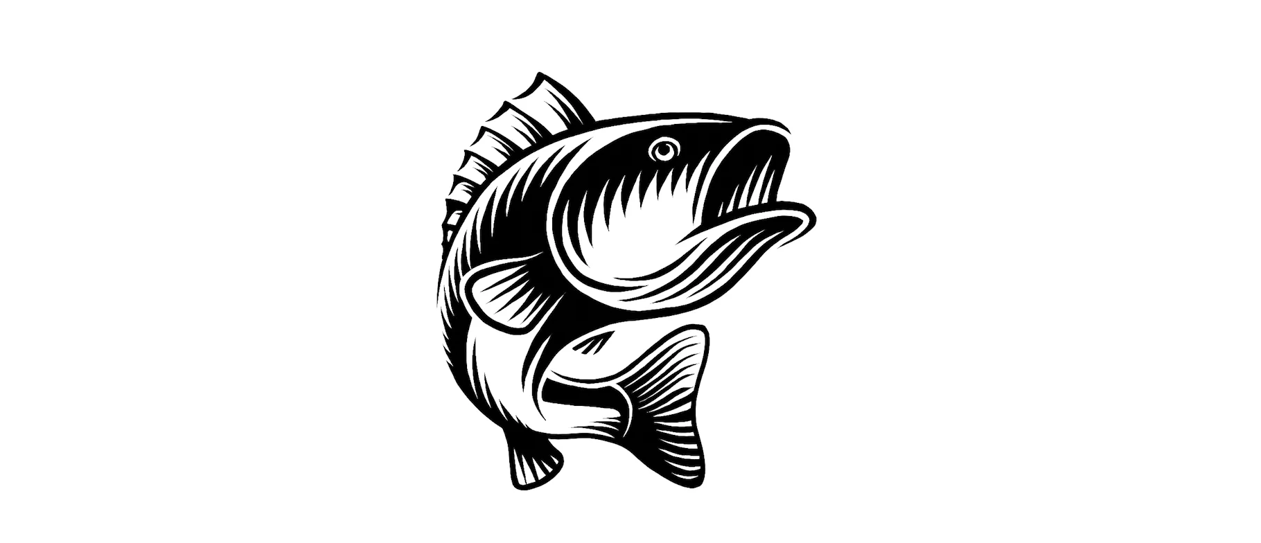 Fish Speed Drawing 01 on Vimeo