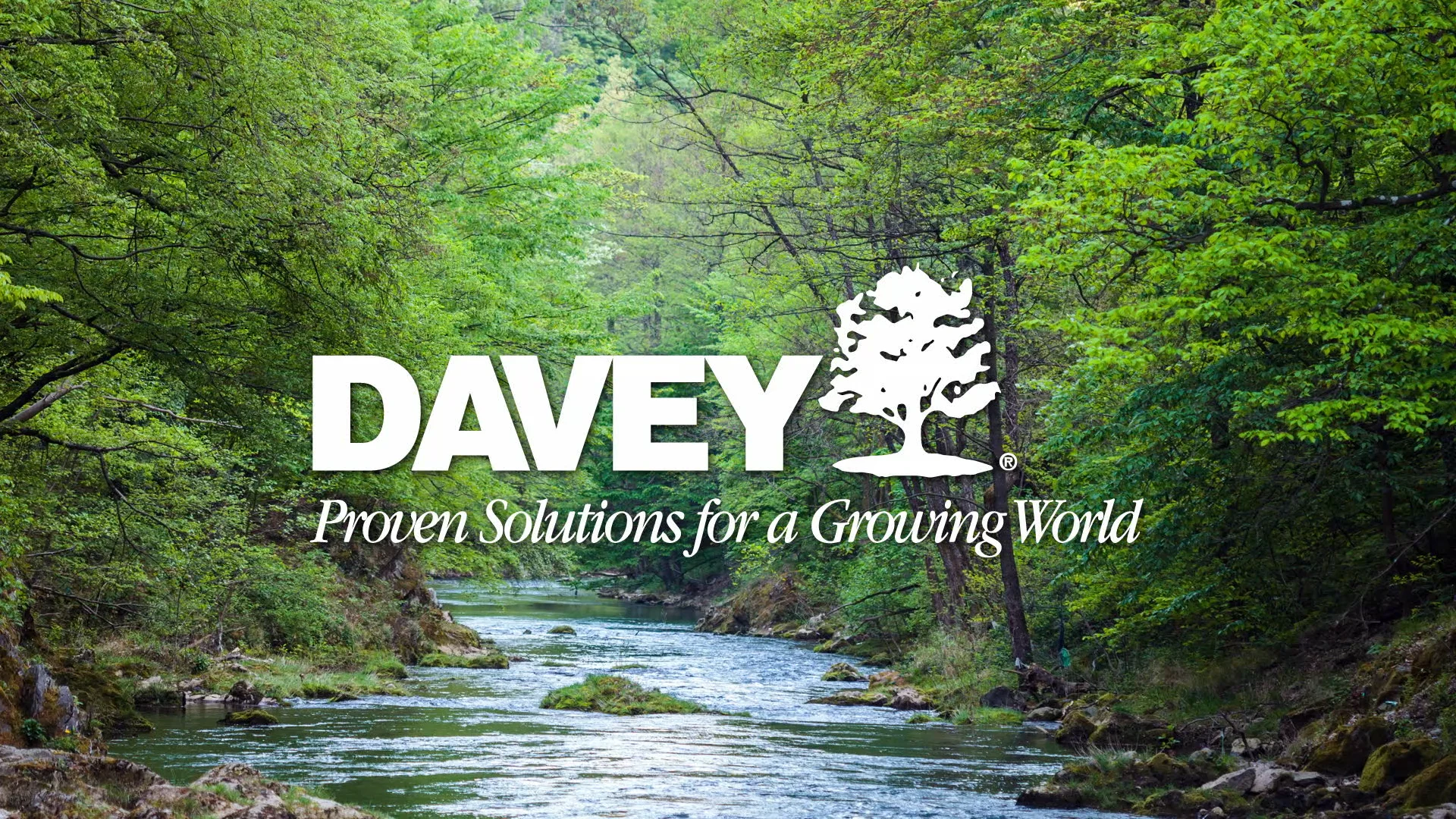 Davey Tree - Our Values