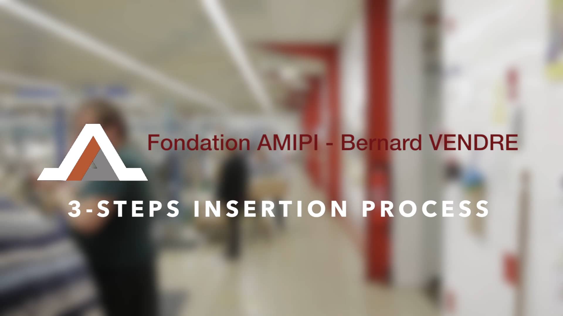 Fondation AMIPI - L'insertion (sous-titré) on Vimeo
