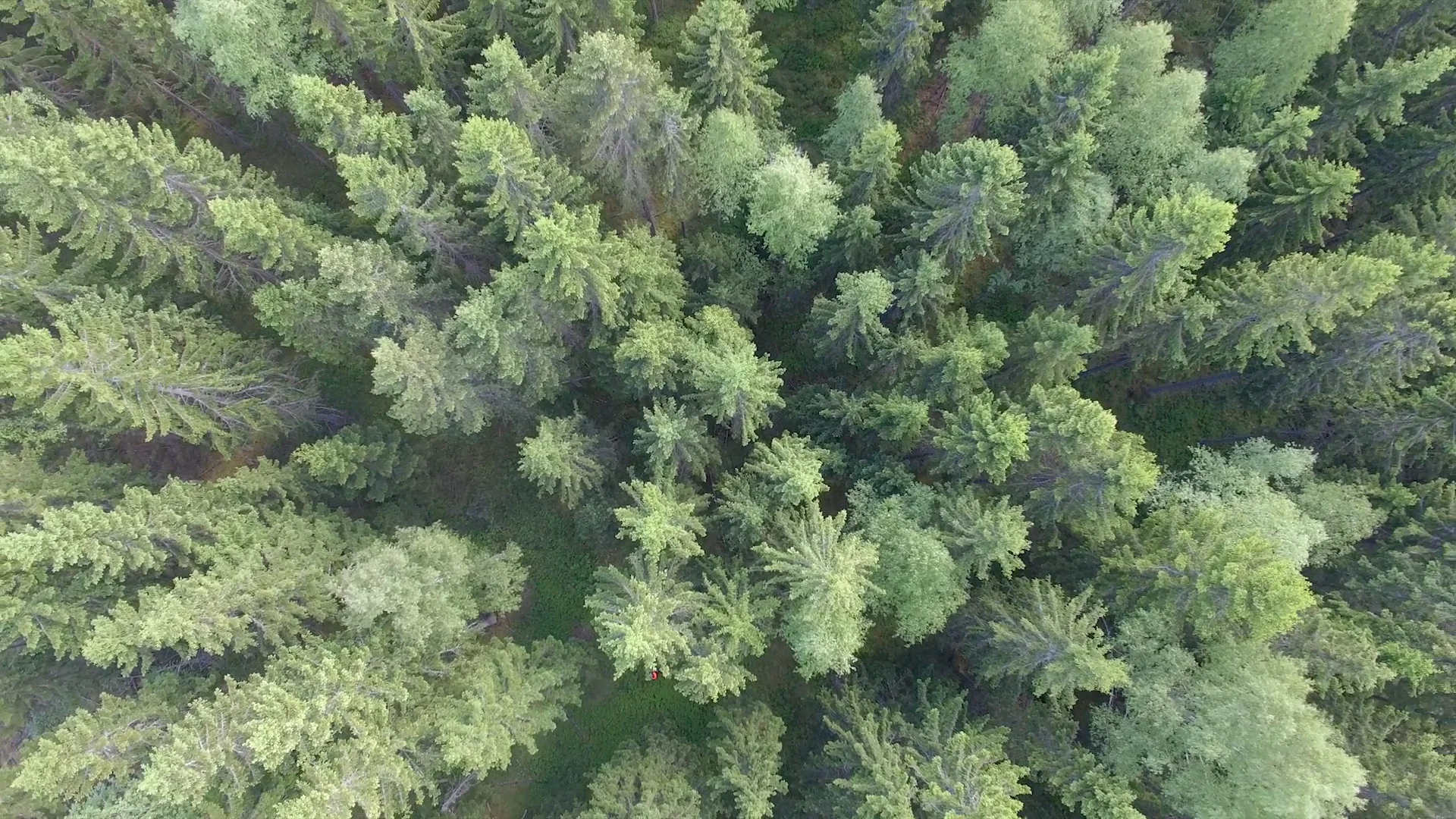 TAPIO - ForestKIT on Vimeo