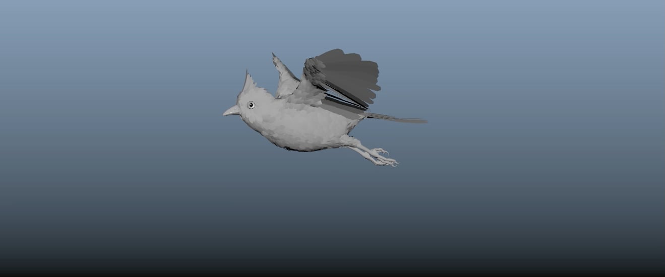 Bird fly cycle test on Vimeo