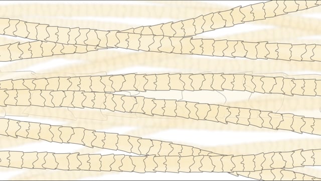 Exploding fibre — Science Learning Hub
