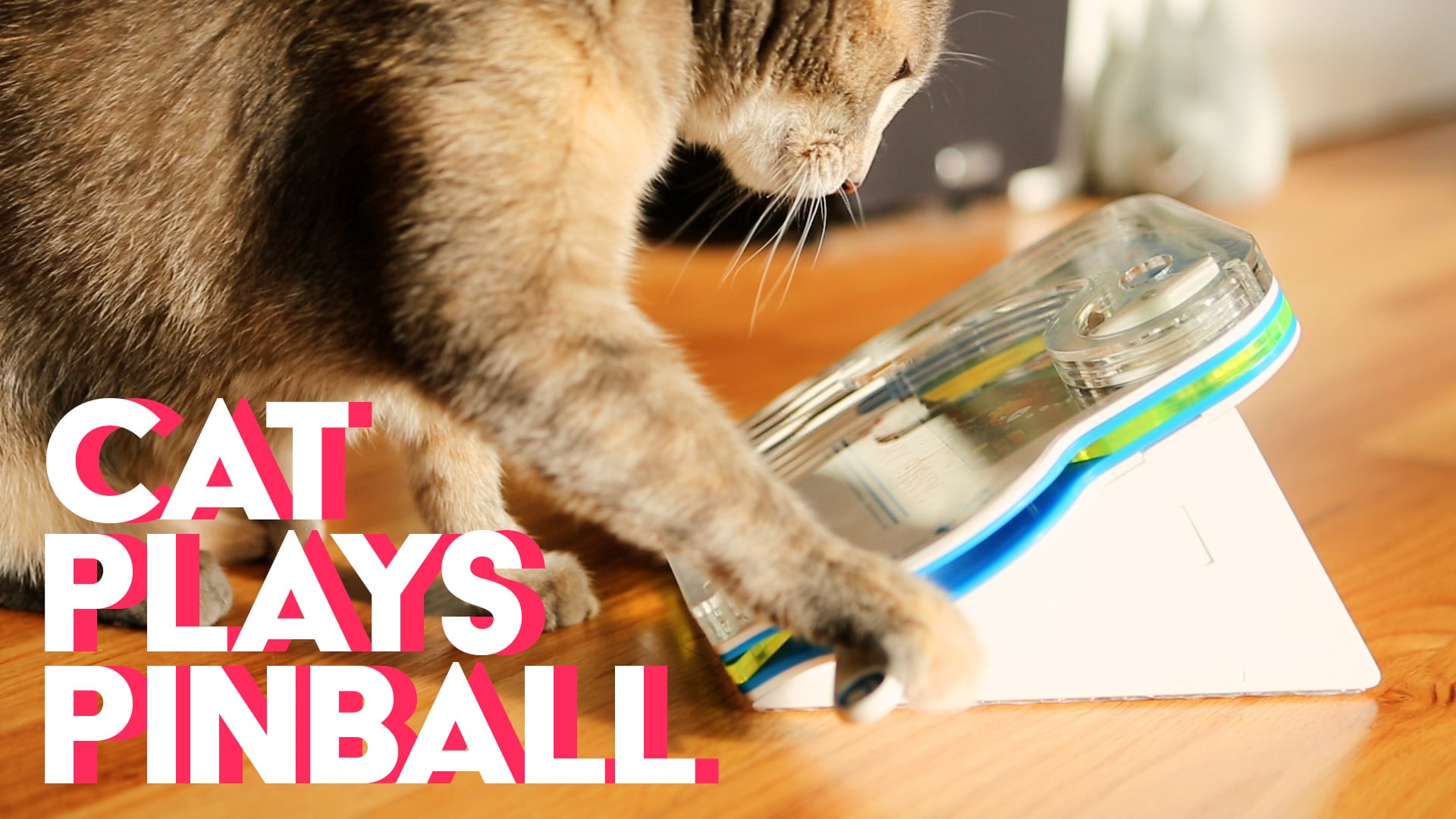 Touchy Fishy - DIY Kitty Pinball Machine on Vimeo