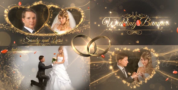 Wedding Package Motion Graphics