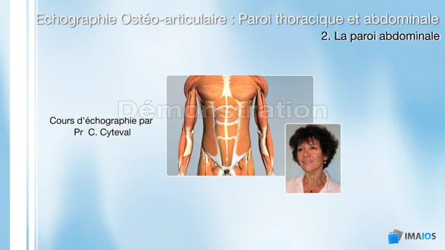 Anatomie De La Paroi Abdominale