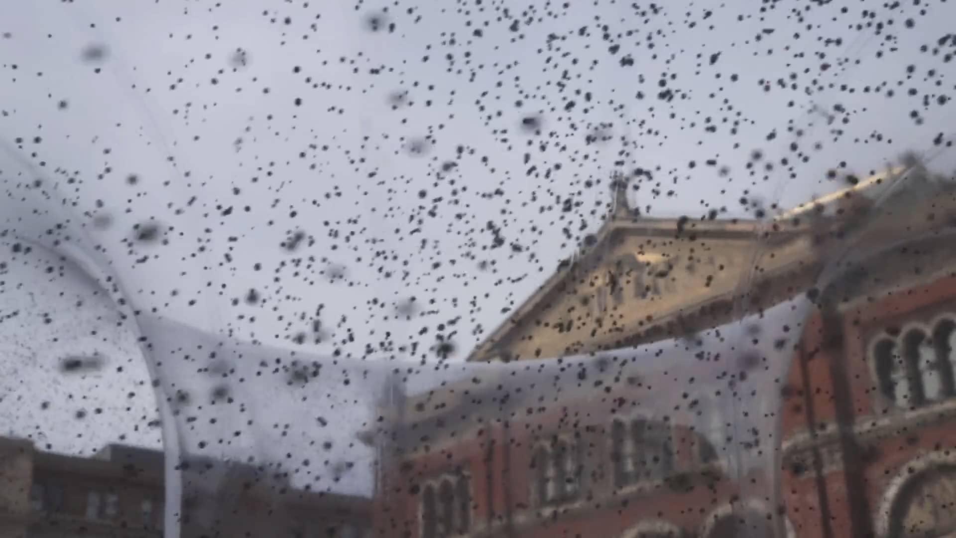 The Storm Laboratory on Vimeo