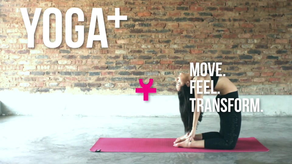 YOGA+ Camel for Courage on Vimeo