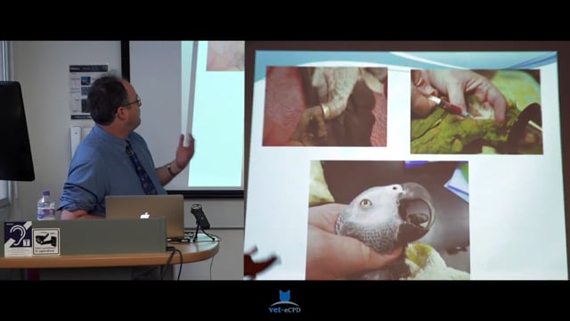 Centralcpd on-demand