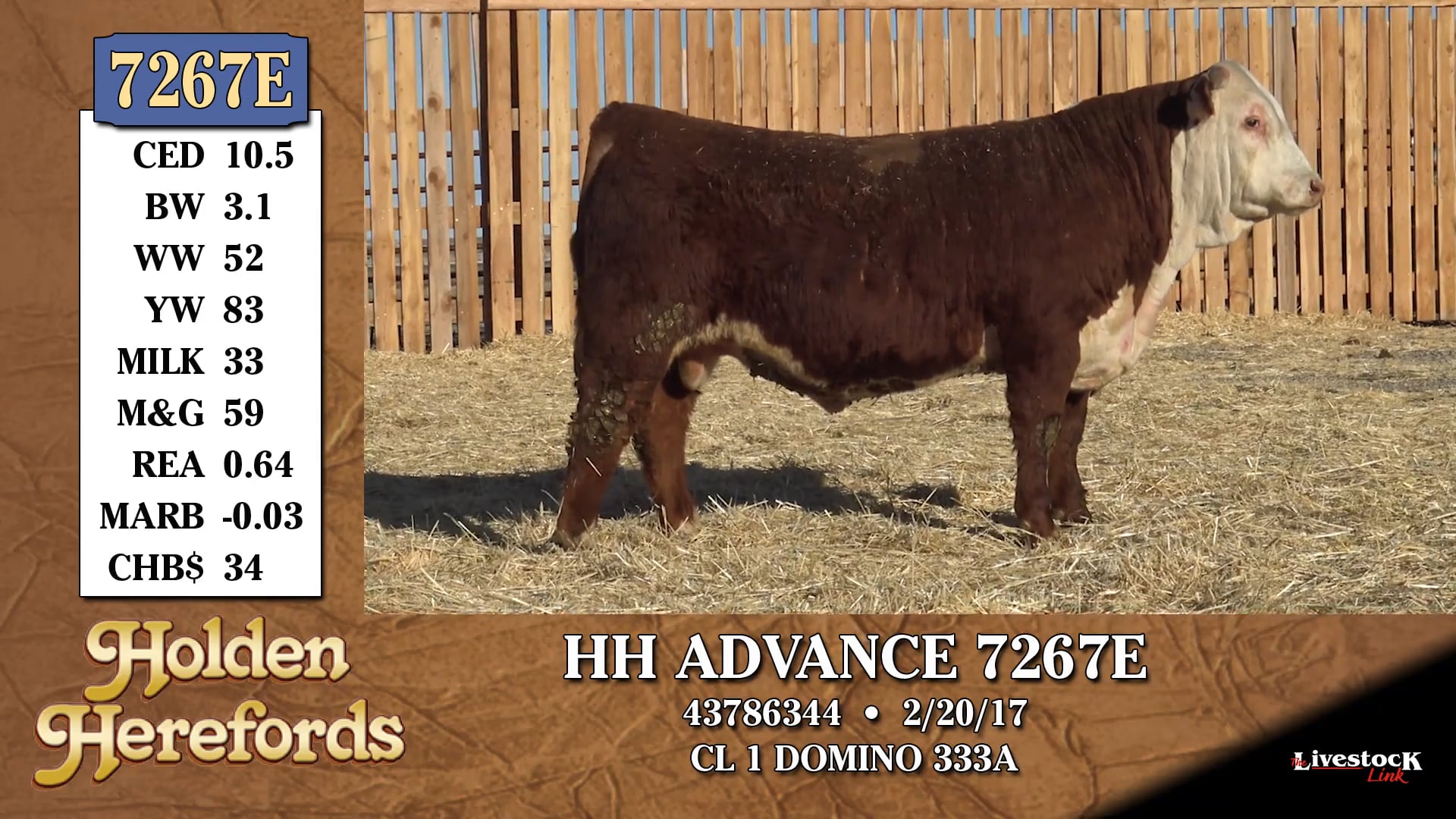 7267 - Holden Herefords on Vimeo