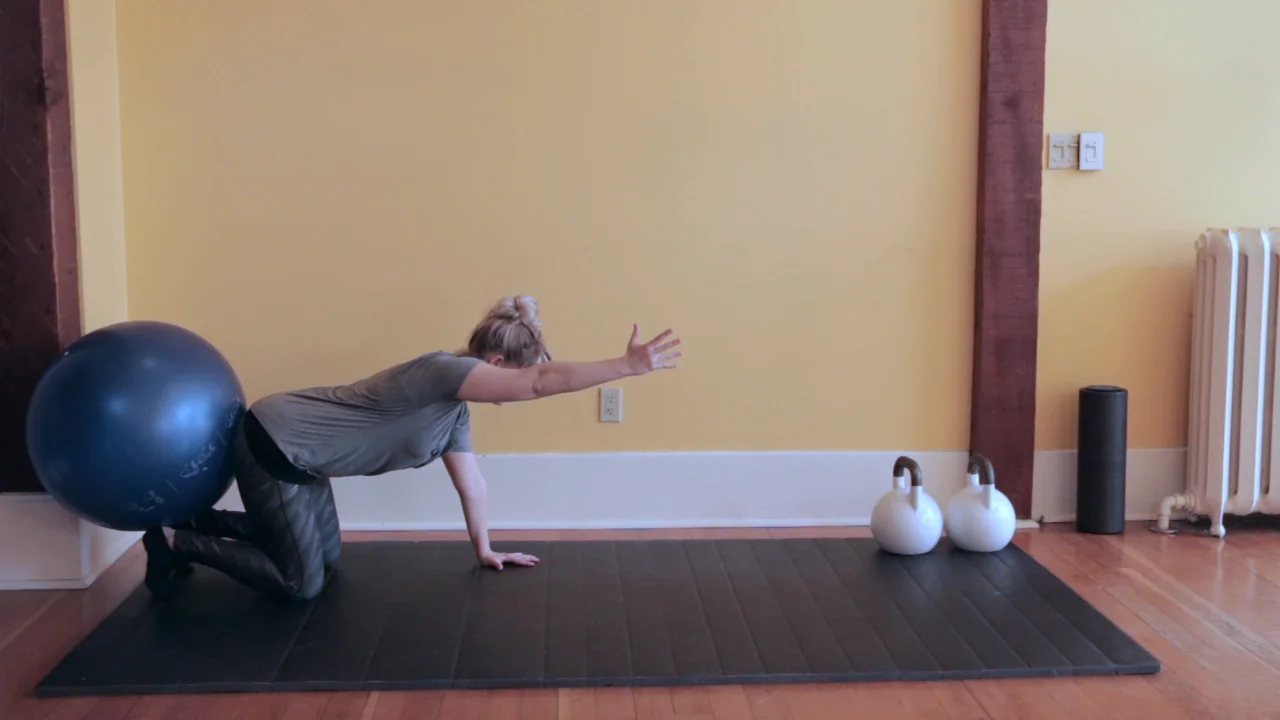 All Fours Rock Back With Arm Raise on Vimeo