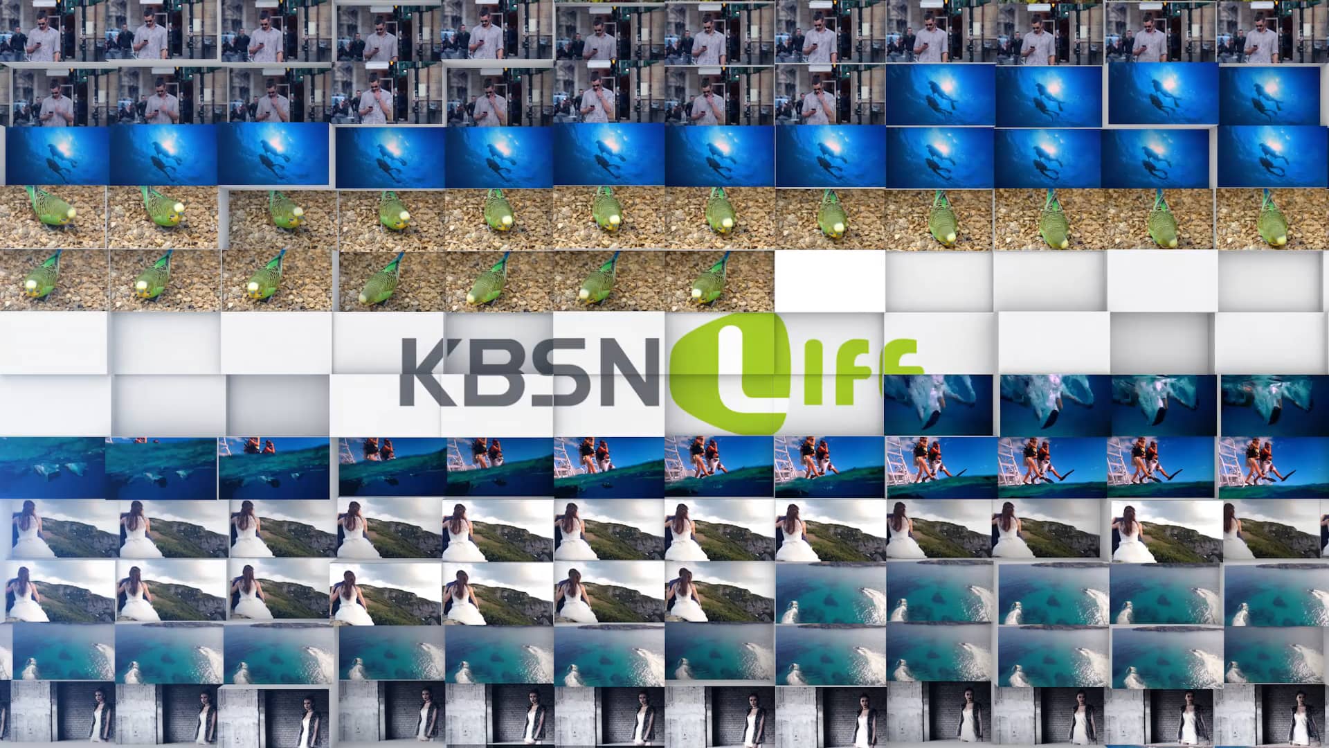 KBS N LIFE - 2018 Channel Design on Vimeo