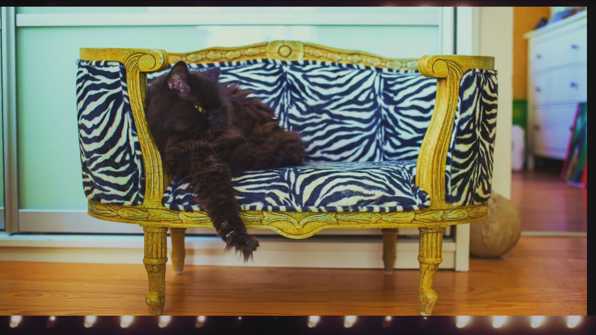 Zoofari Eps 103 on Vimeo