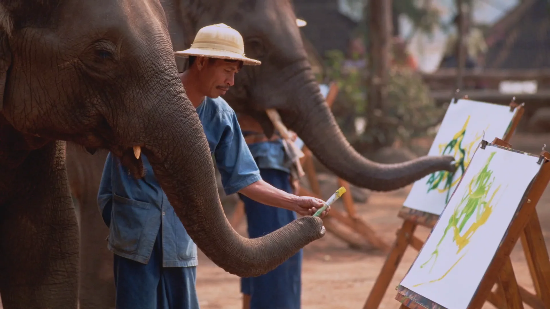 Zoofari Eps 105 on Vimeo