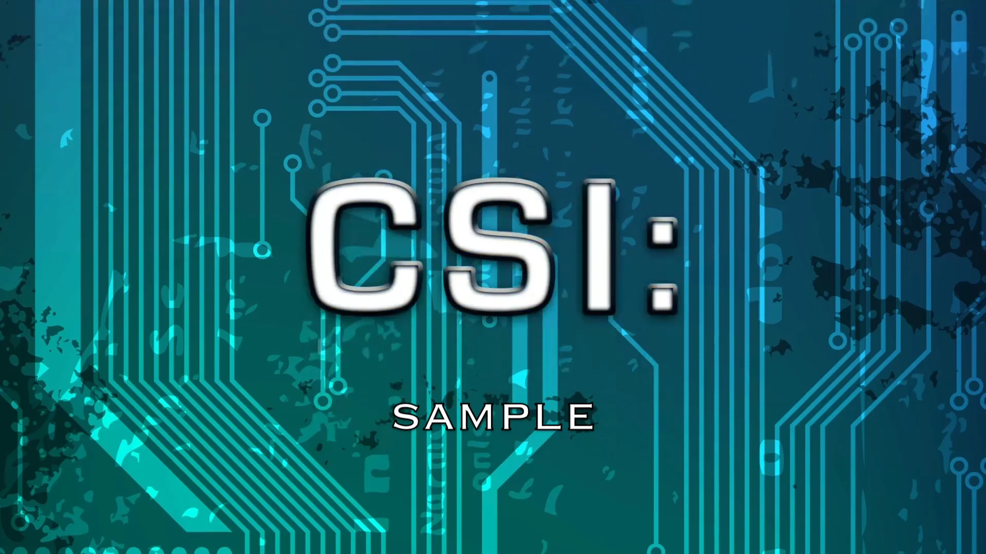 CSI sample video 3