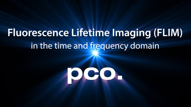 pco in image quality - Frequency Domain Fluorescence Lifetime Imaging ...
